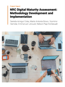 Digital Maturity Assessment: Methodology Development and Implementation ...